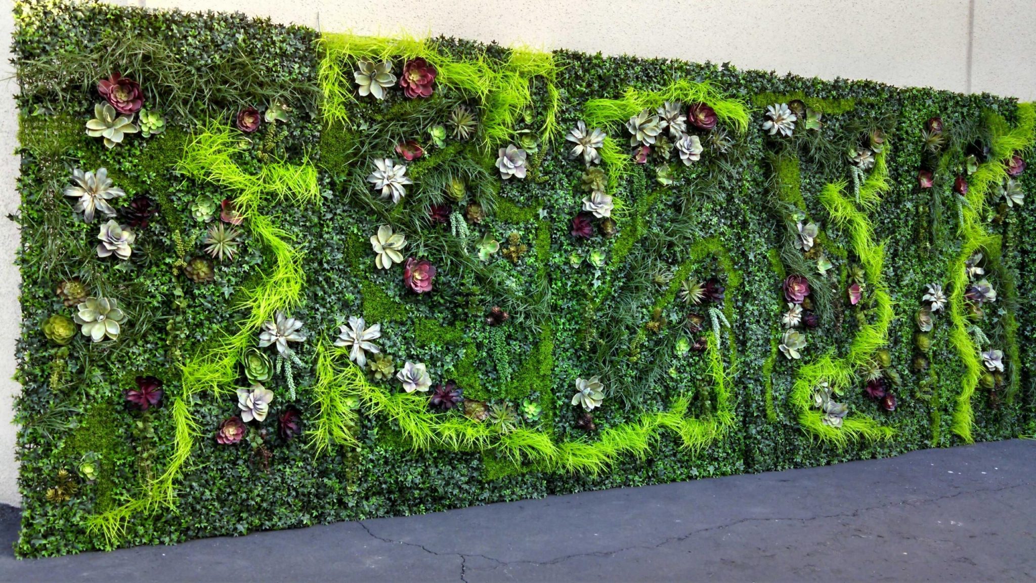 Green Walls – All You Need To Know | Plantscapes