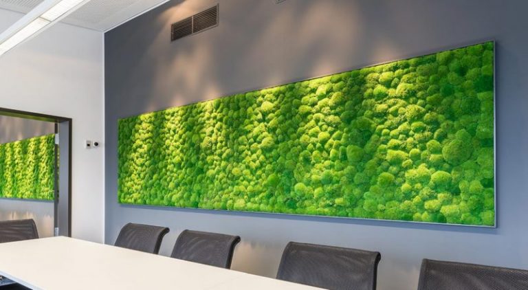 The Rise of Moss Walls | Plantscapes