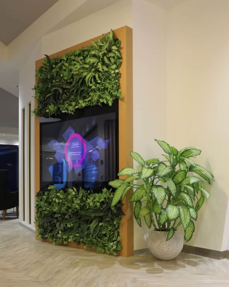 Revitalizing Corporate Spaces with Plant Installations